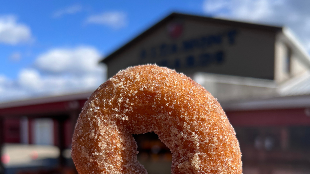 Altamont Orchards and Allied Brewing - 518 Bites & Sights